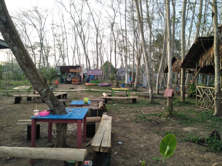 Wisata Alam Hutan Albasia Kubu Raya